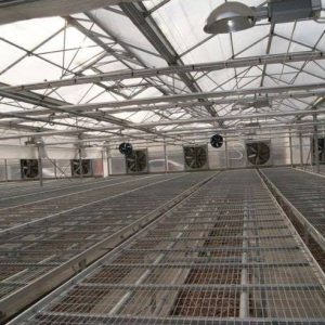 Industrial Box fan ( Heavy Duty Industrial Fan )
